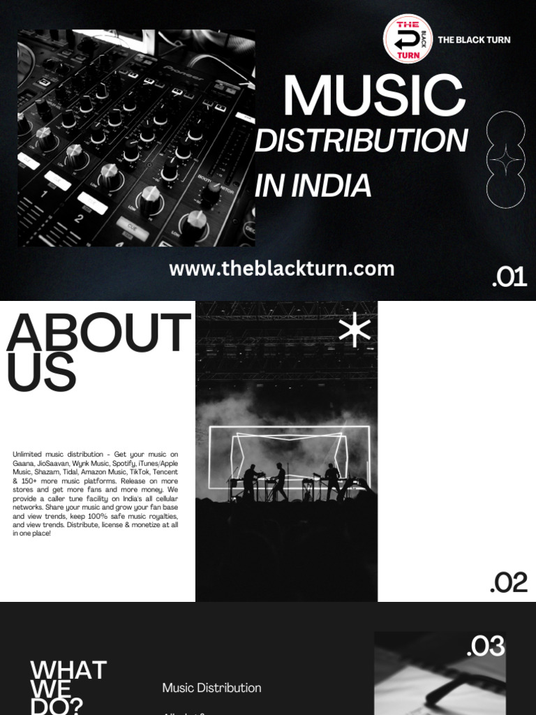 Music Distribution in India | PDF | Music Industry | Service Industries