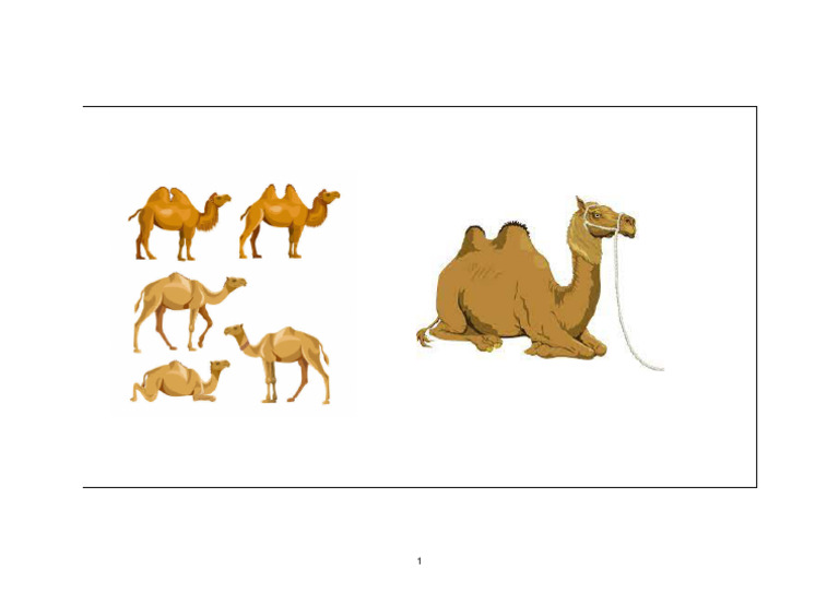 Presentation 8 | PDF