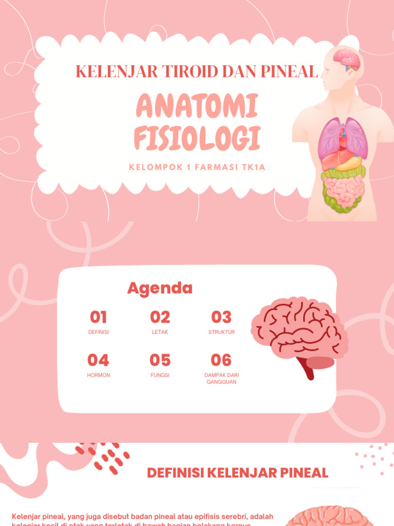 Letak dan Fungsi Kelenjar Pineal | PDF | Sains & Matematika