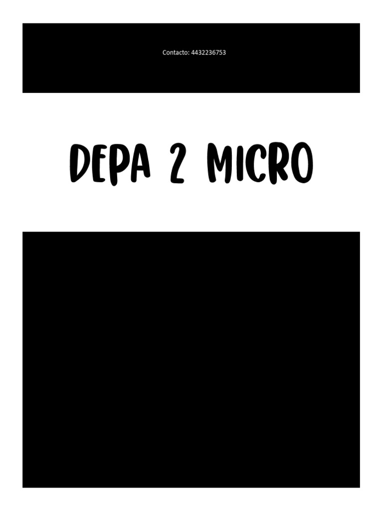 Depa 2 Micro 2 | PDF