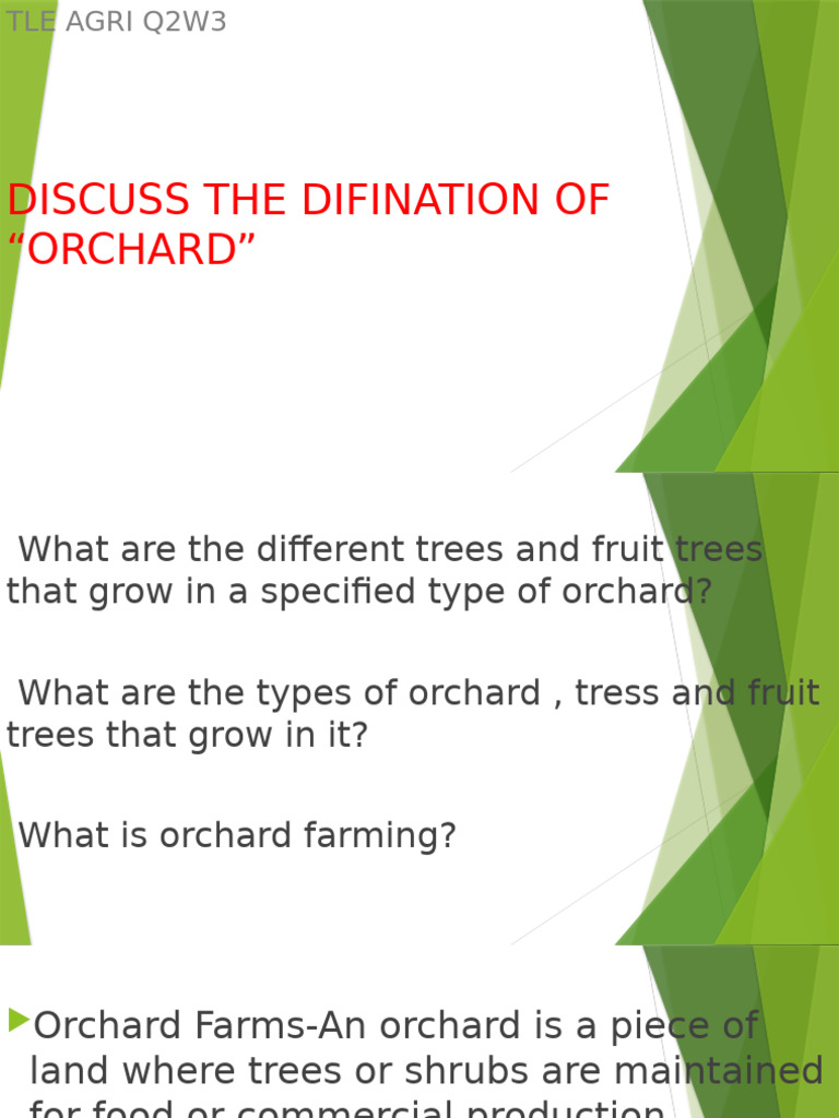 Understanding Orchard Farming Types | PDF | Orchard | Trees