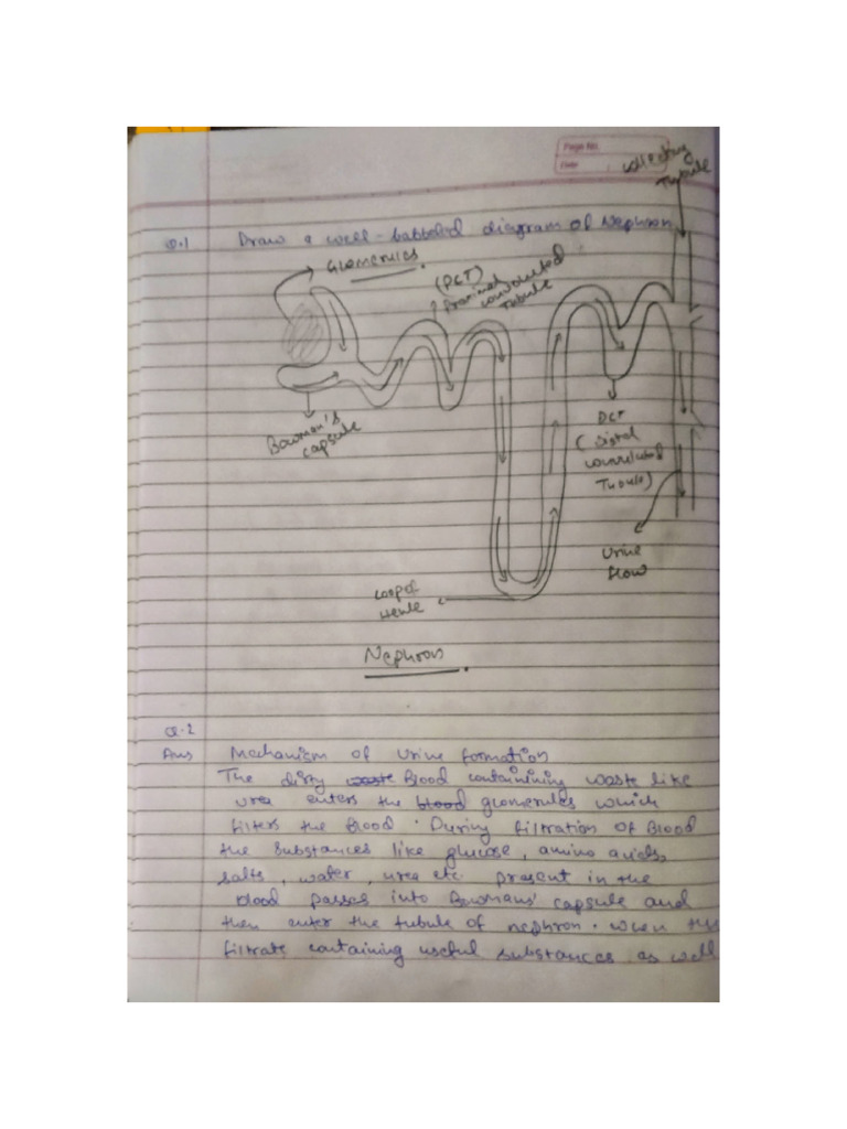 Practice Questions by DHK Sir | PDF