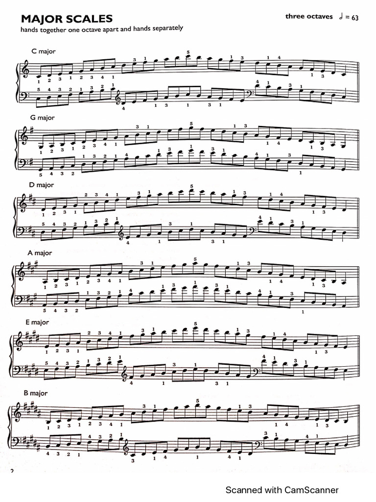 G5 Scales (Old) | PDF