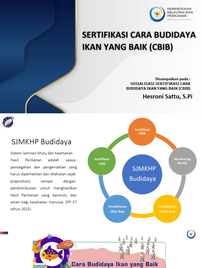 Cbib 2024 | PDF