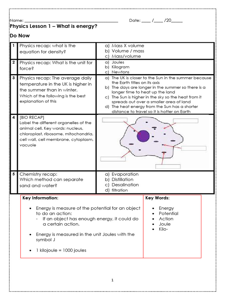 Year 9 2024114 L1 An Introduction To Energy | PDF | Fuels | Cell (Biology)