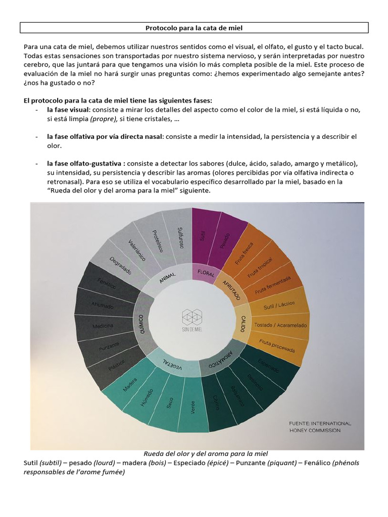 Protocolo para La Cata de Miel | PDF