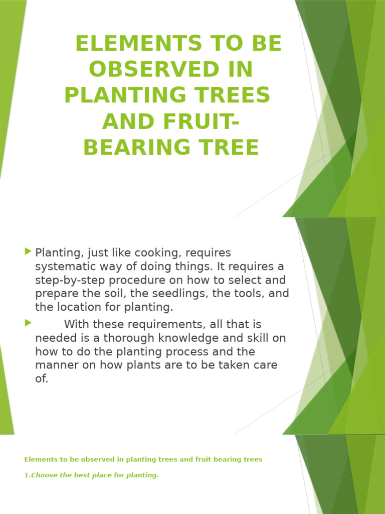 Tree Planting Guide & Best Practices | PDF | Trees | Soil