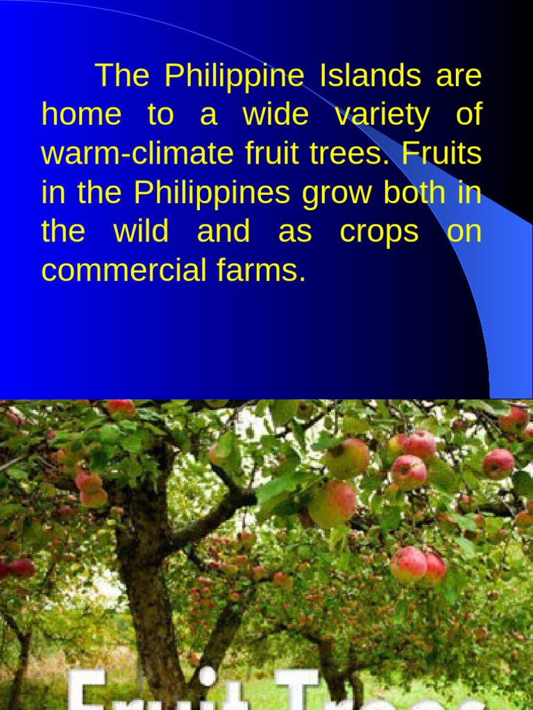 TLE 6 AGRI Fruit Bearing Trees | PDF | Mango | Philippines