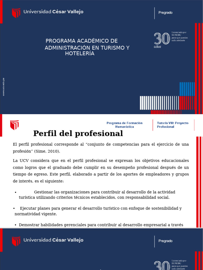 Perfil Del Profesional-Ucv | PDF | Calidad (comercial) | Sustentabilidad