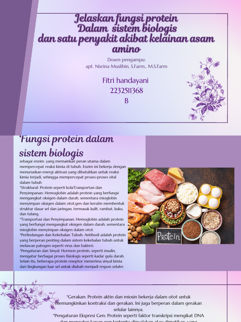 Persentase | PDF | Sains & Matematika