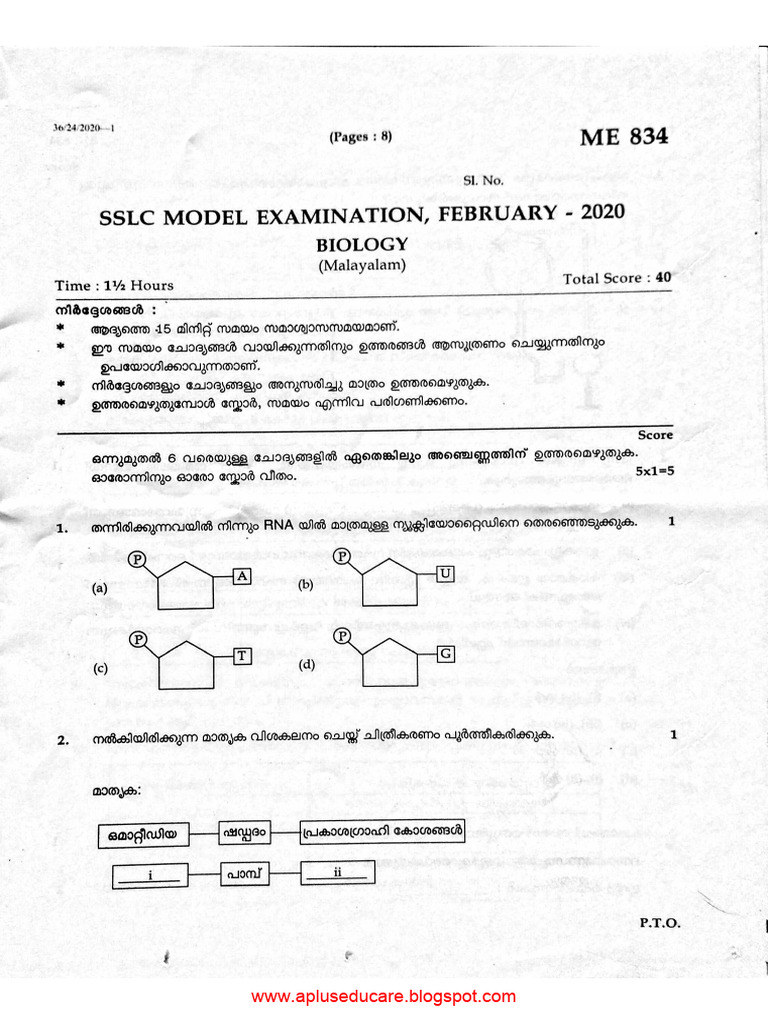 SSLC - 2020 - Model - Biology - MM - Qestion - Paper | PDF | Cooking ...