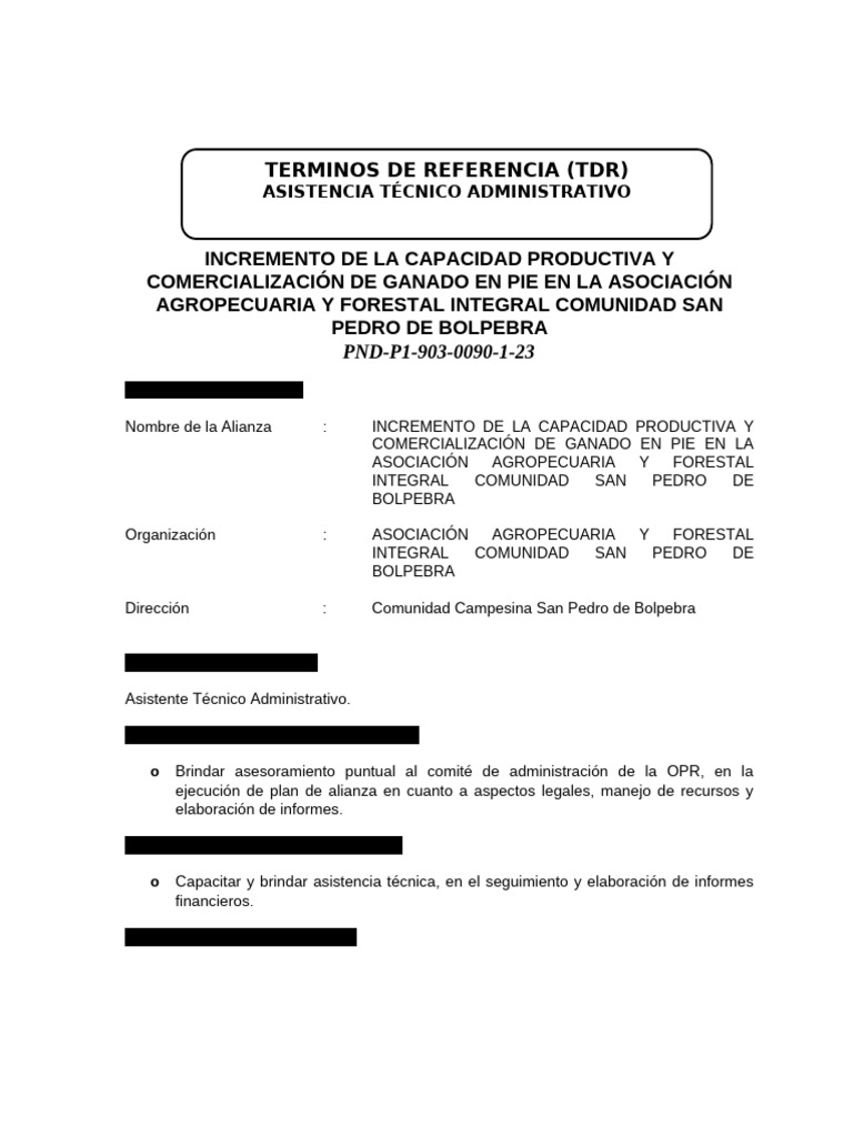 7.-TDRs AT en Fortalecimiento Organizativo y Administrativo | PDF ...
