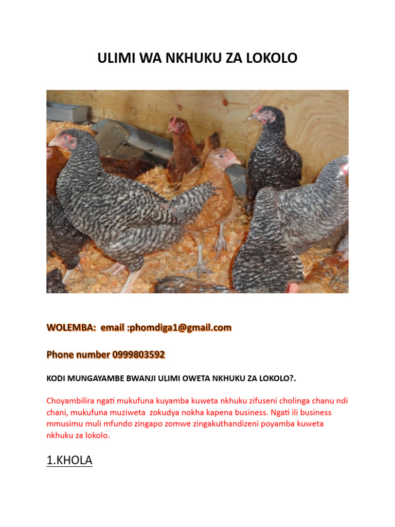 Kuweta Nkhuku Za Lokolo Bukhu Lofunika Kwambili | PDF | Home & Garden