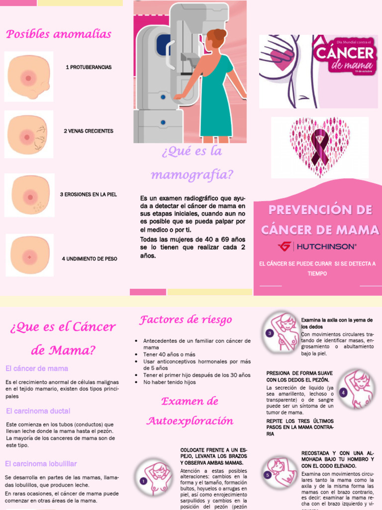 Folleto Cancer de Mama | PDF | Cáncer de mama | Cáncer