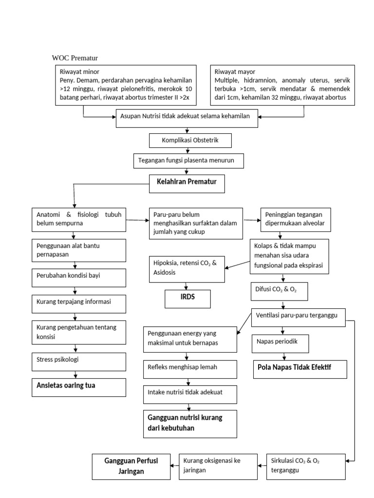 WOC Prematur: Risiko dan Komplikasi | PDF