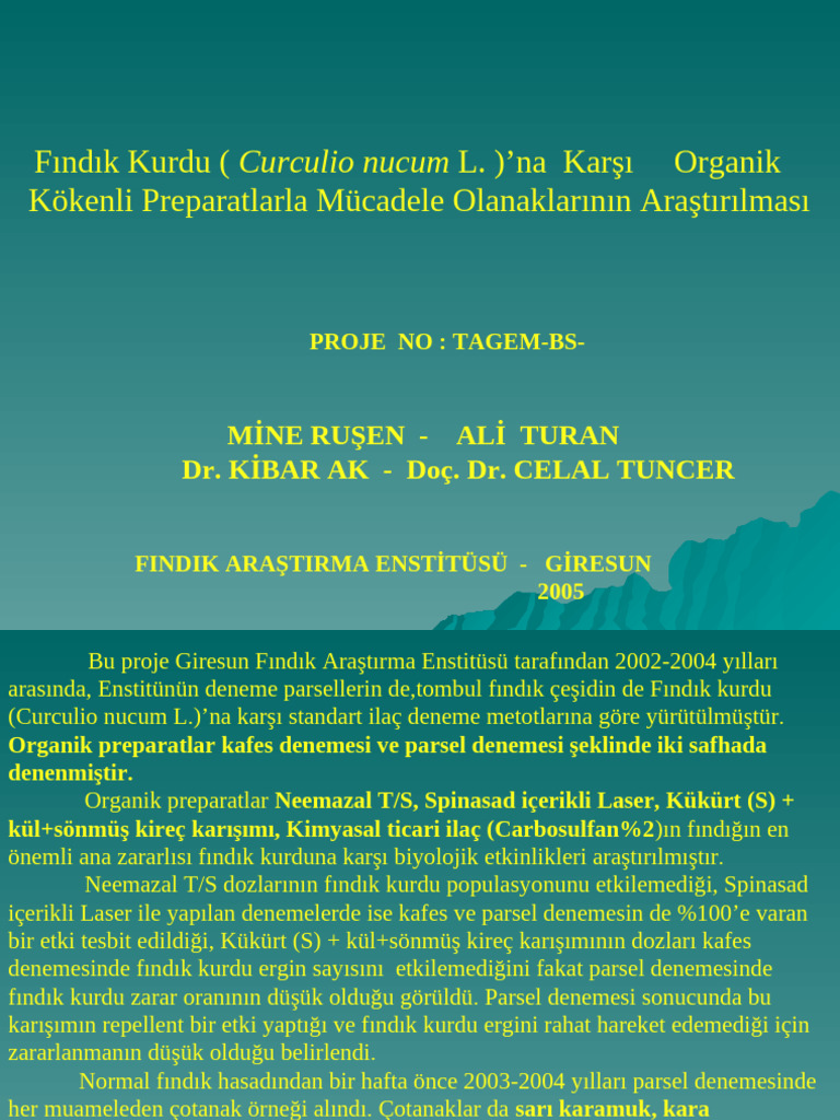 Fındık Kurdu Sunu | PDF