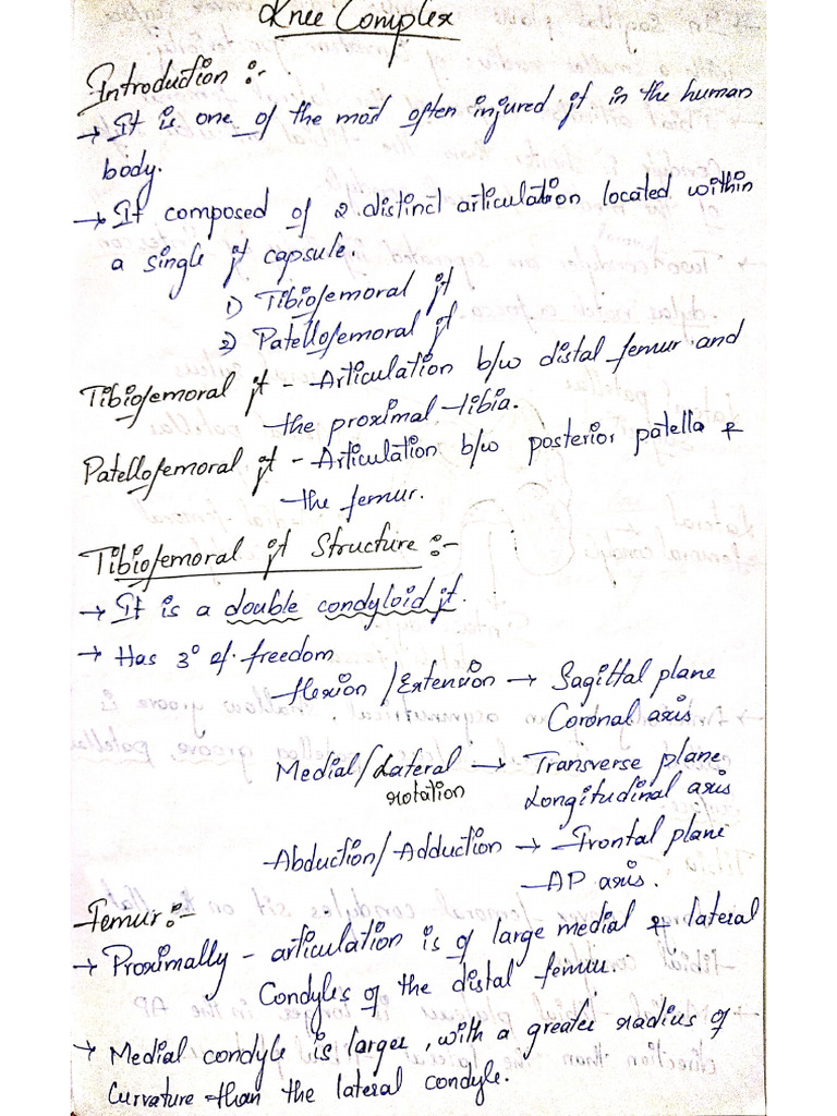 Knee Complex Notes | PDF