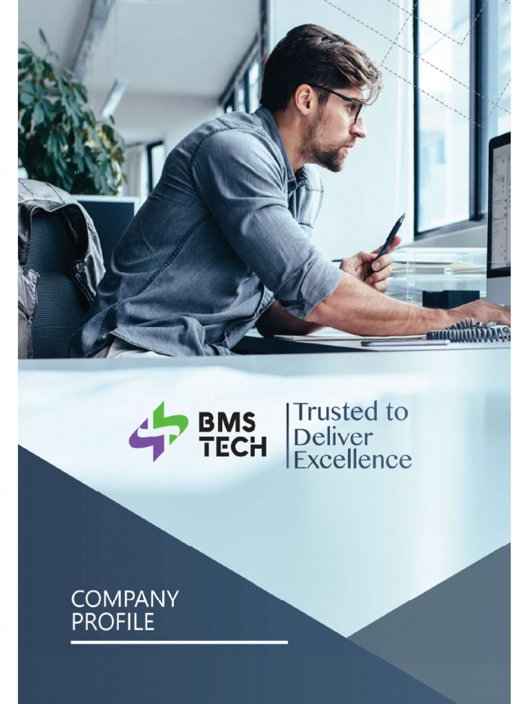 BMS-PROFILE-v11 | PDF