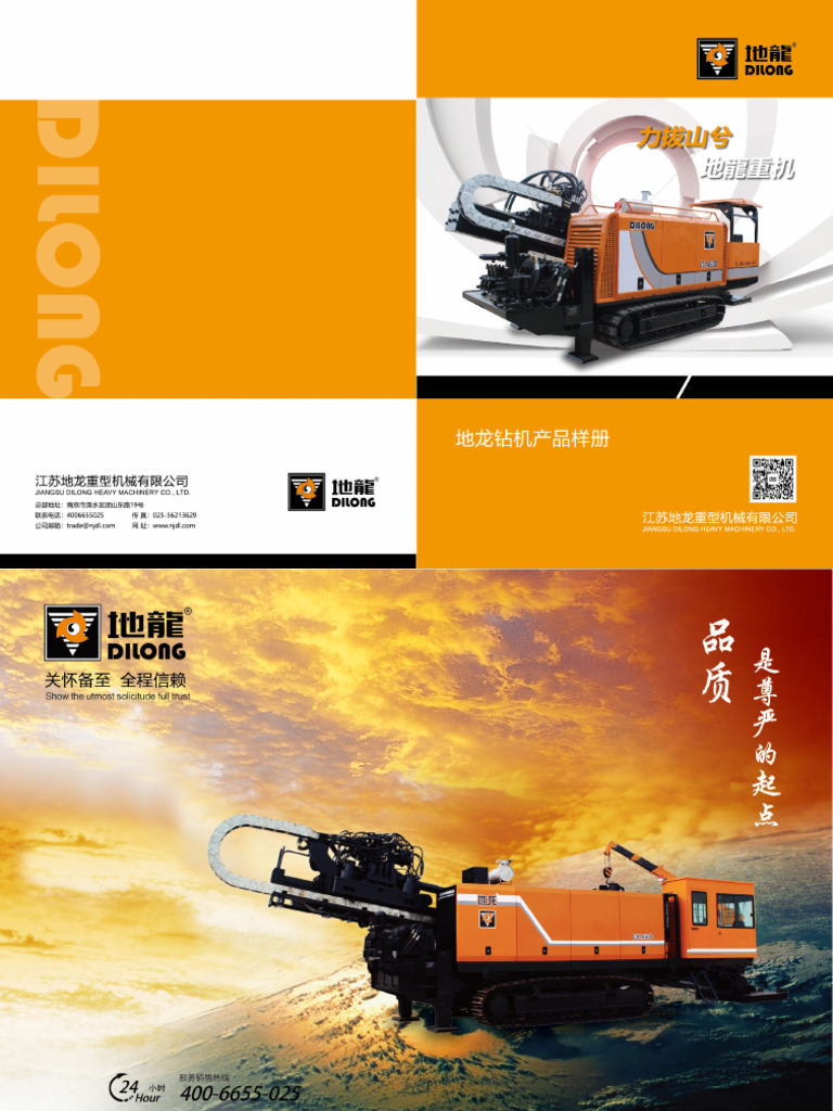 Dilong Catalogue | PDF
