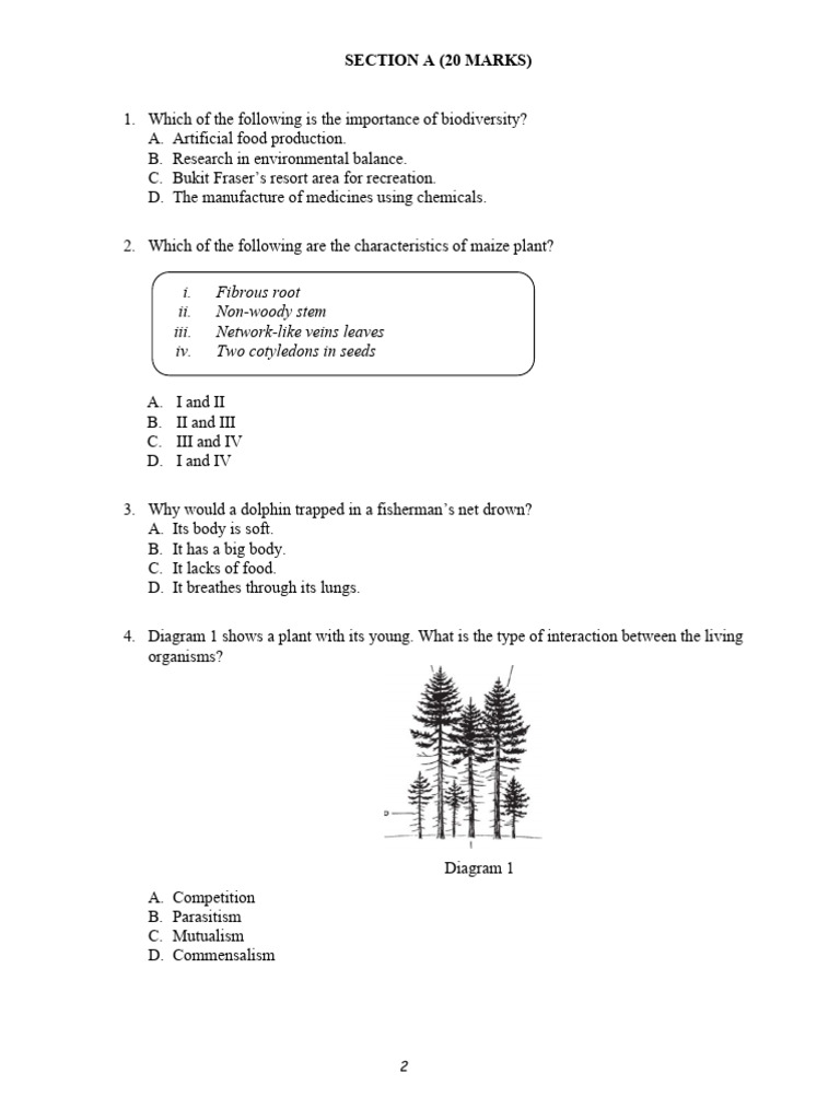 Science exercise | PDF | Foods | Water Purification