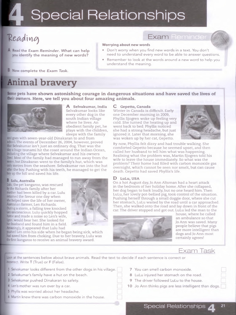 extra reading B1 | PDF