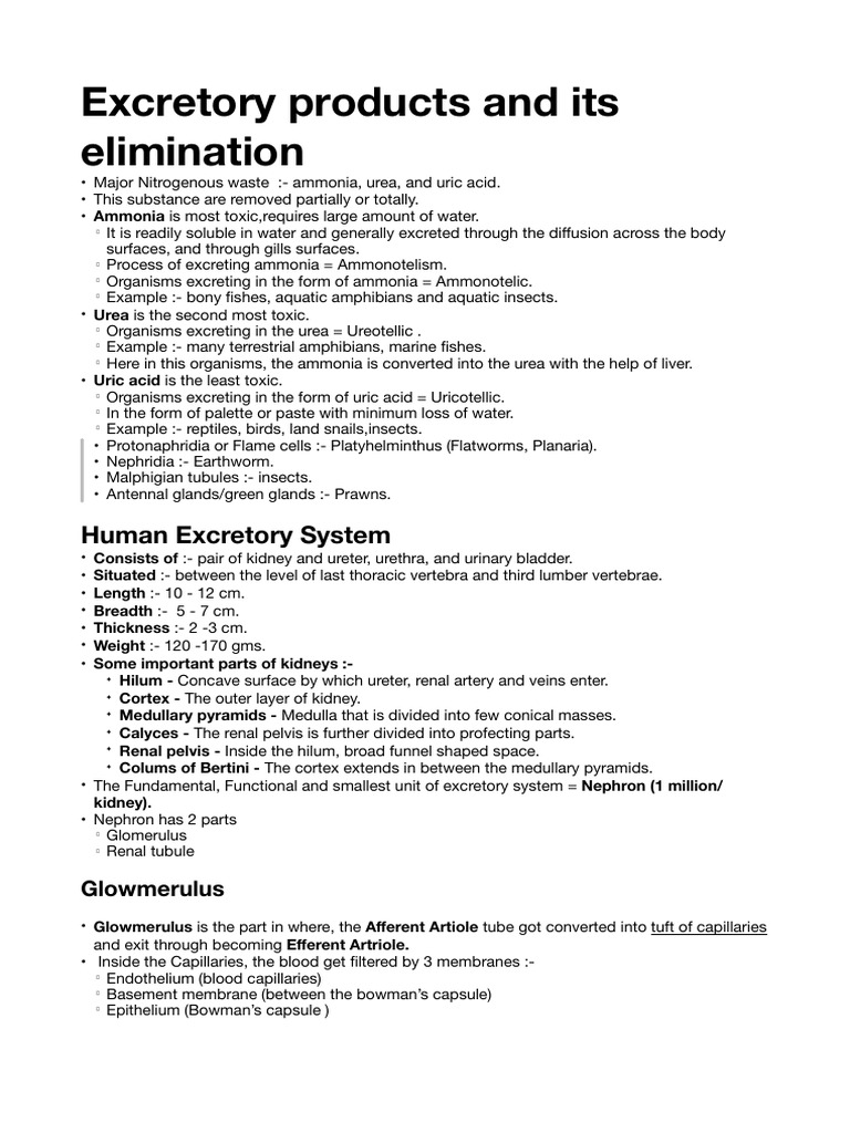 Excretory Products and Human Kidney Function | PDF | Organ (Anatomy ...