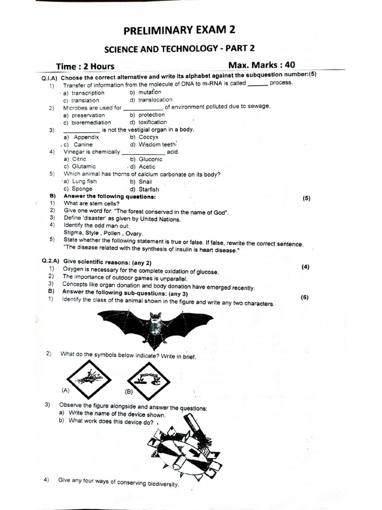 STD 10 Prelim 2 Science 2 | PDF
