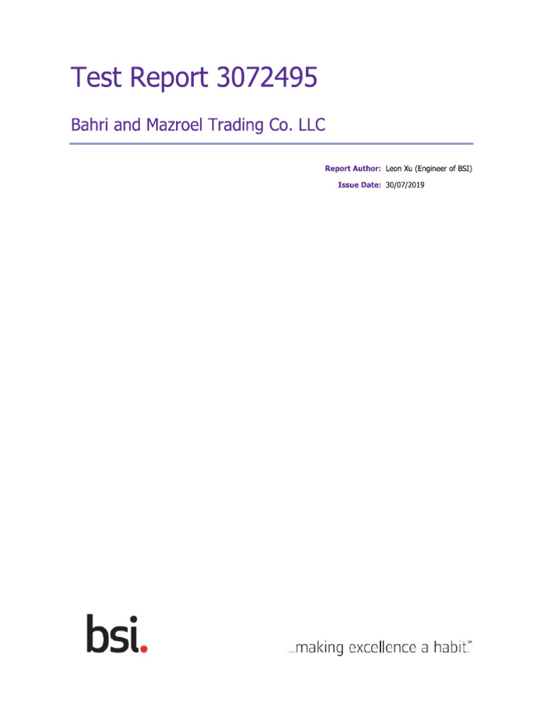 BSI Test Report | PDF