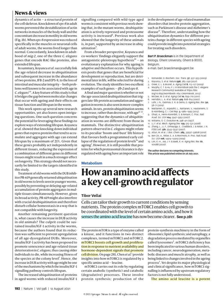 How An Amino Acid Affects A Key-Cell Regulator (Nature 2021) | PDF ...