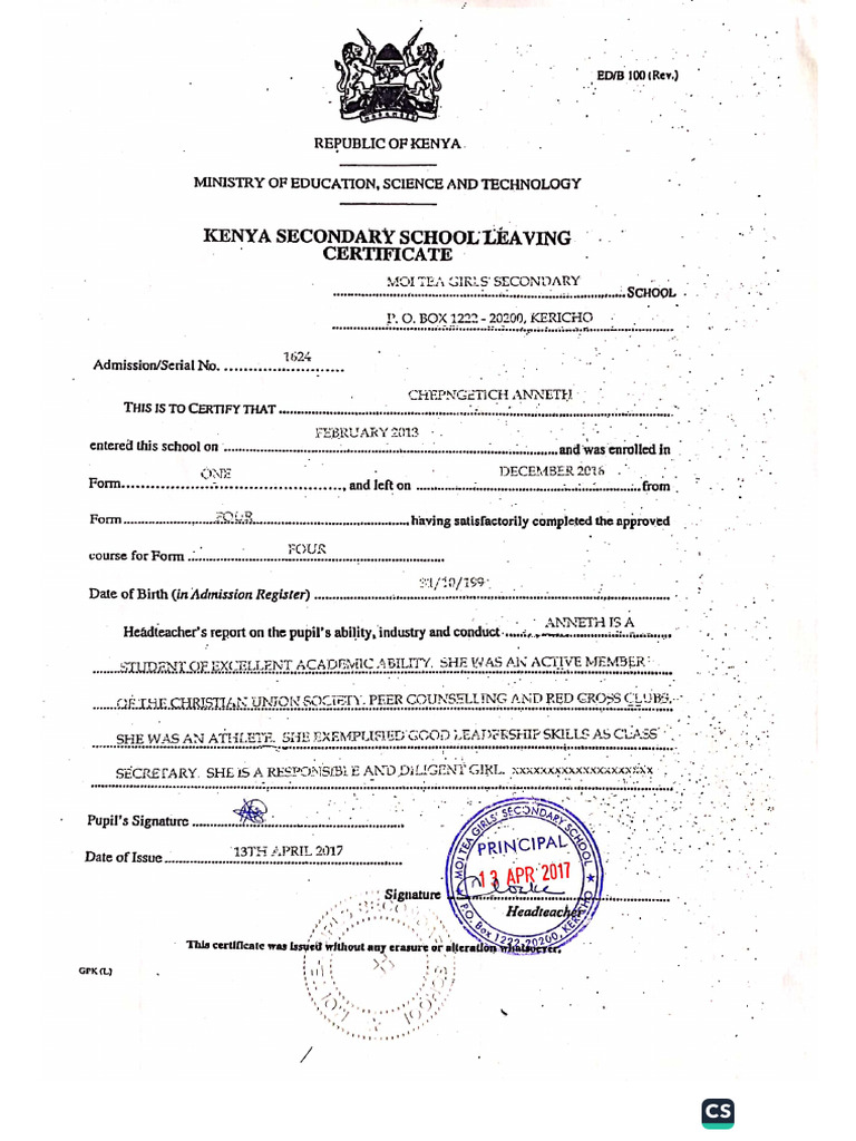 Secondary School Leaving Certificate | PDF