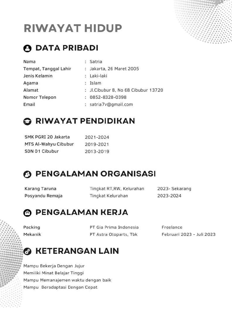 CV - Satria 11zon | PDF