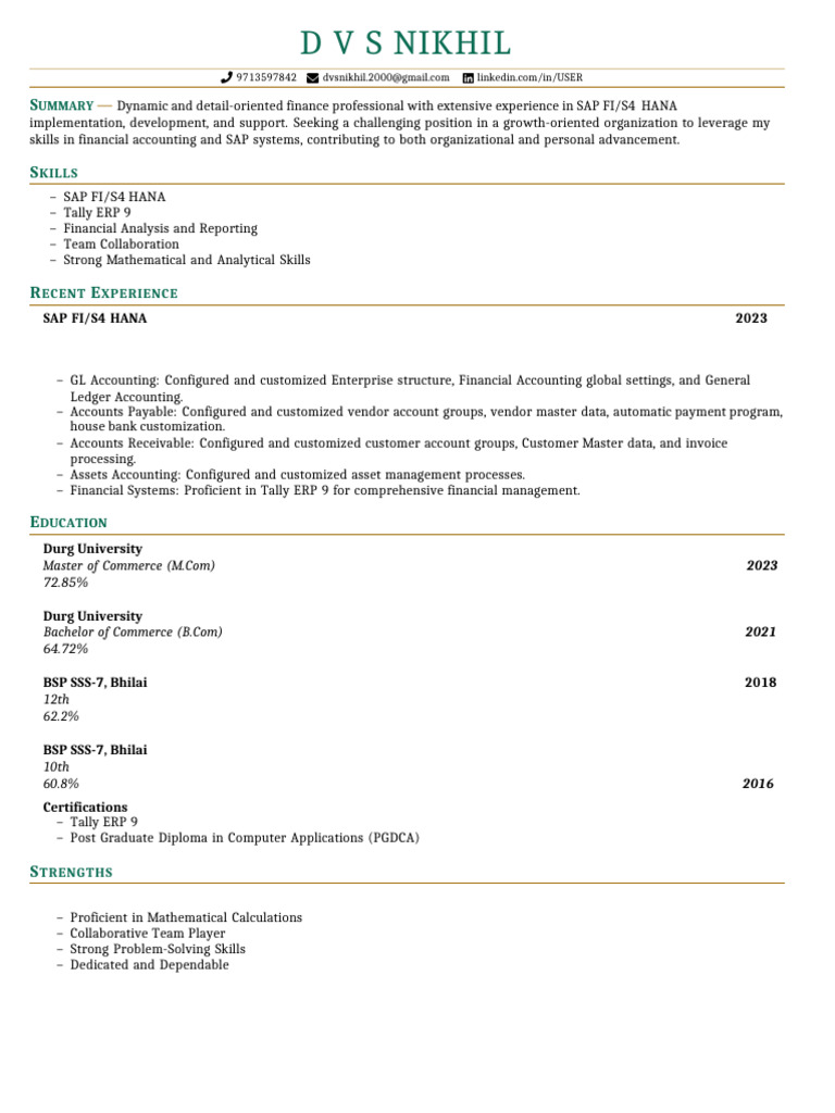 Nikhil Resume 2 | PDF | Business