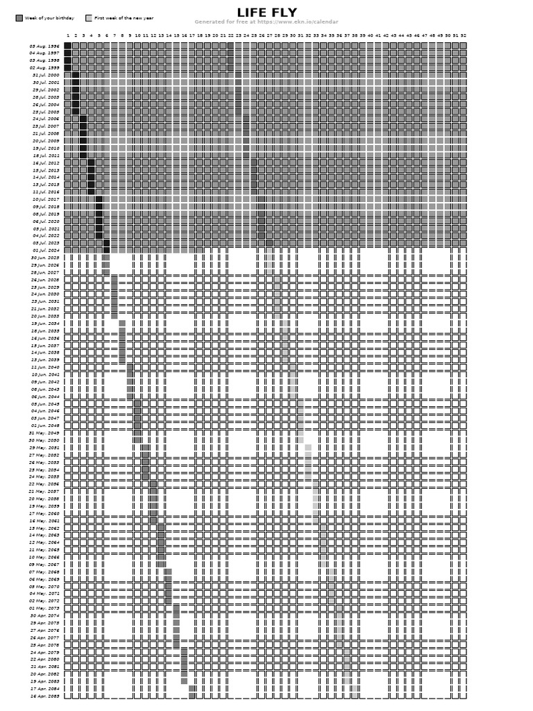 My Life Calendar | PDF