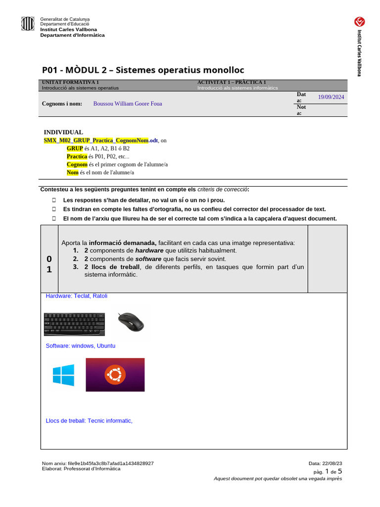 P RA1 A01 SistemesInformatics | PDF