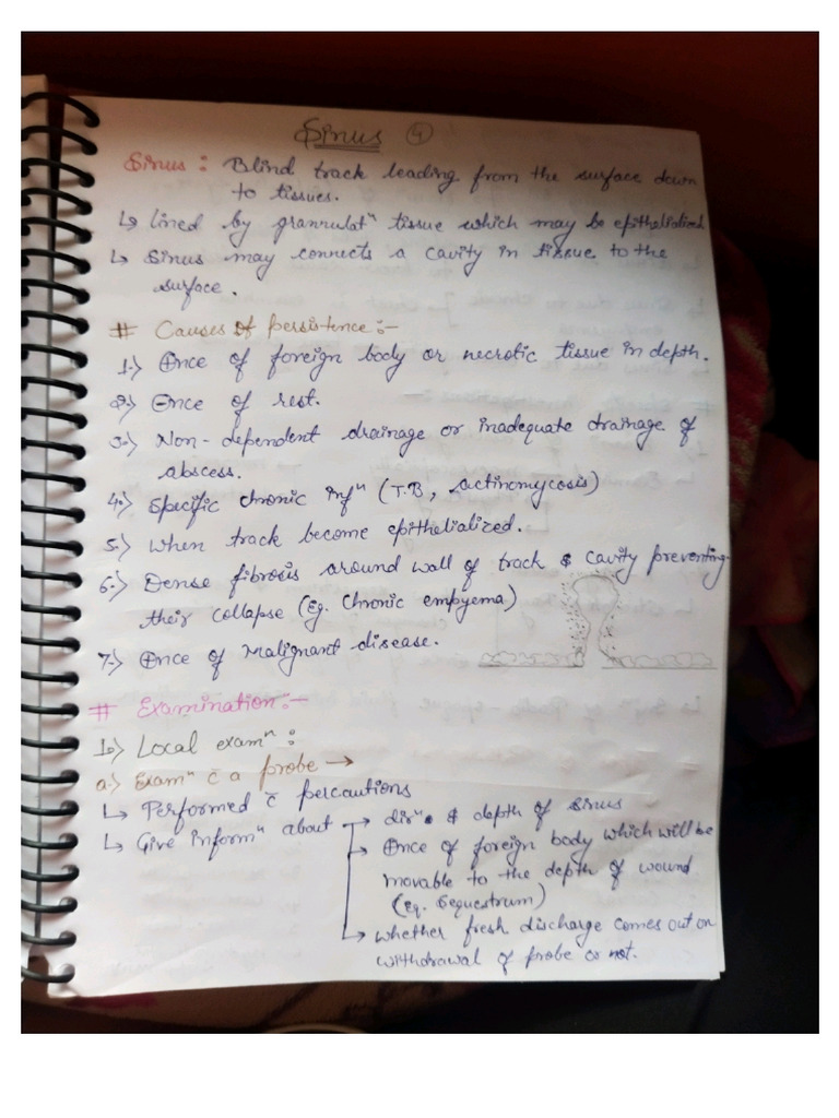 Sinus | PDF
