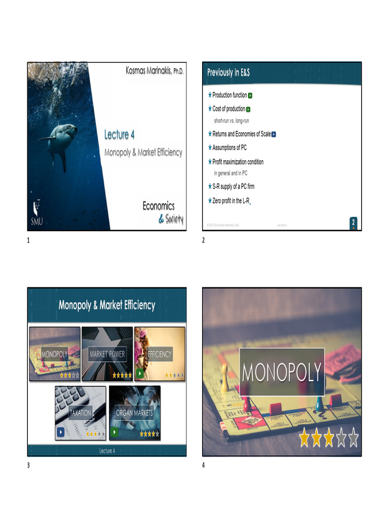 Slides04 Monopoly Market Efficiency | PDF | Monopoly | Profit (Economics)