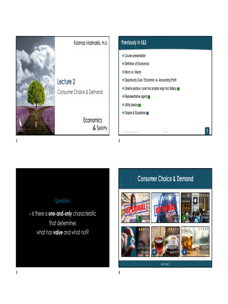 Consumer Choice and Demand Analysis | PDF | Elasticity (Economics) | Demand