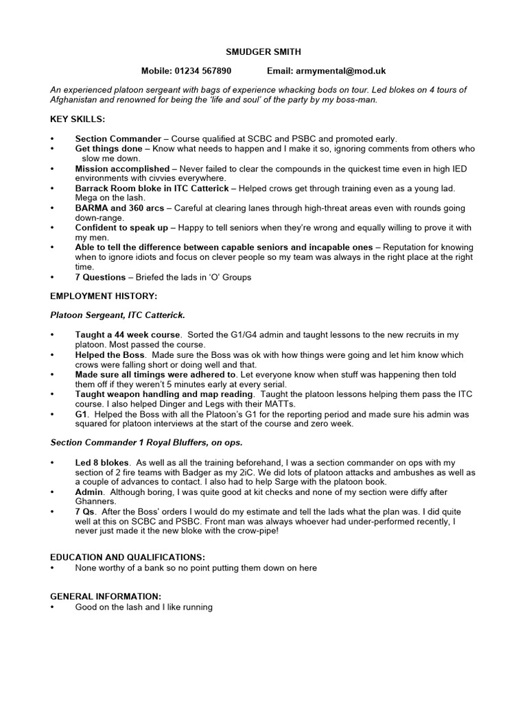 Example Curriculum Vitae Bad | PDF | Military