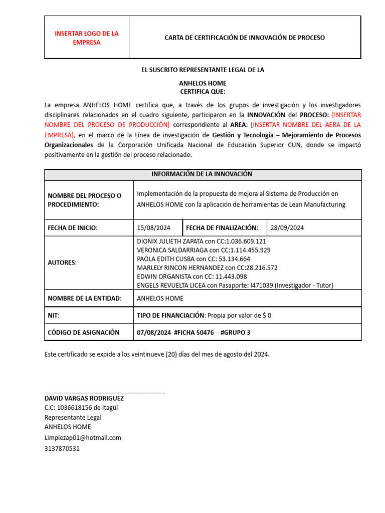 Carta de Innovacion de Proceso Innovacion de Procesos | PDF