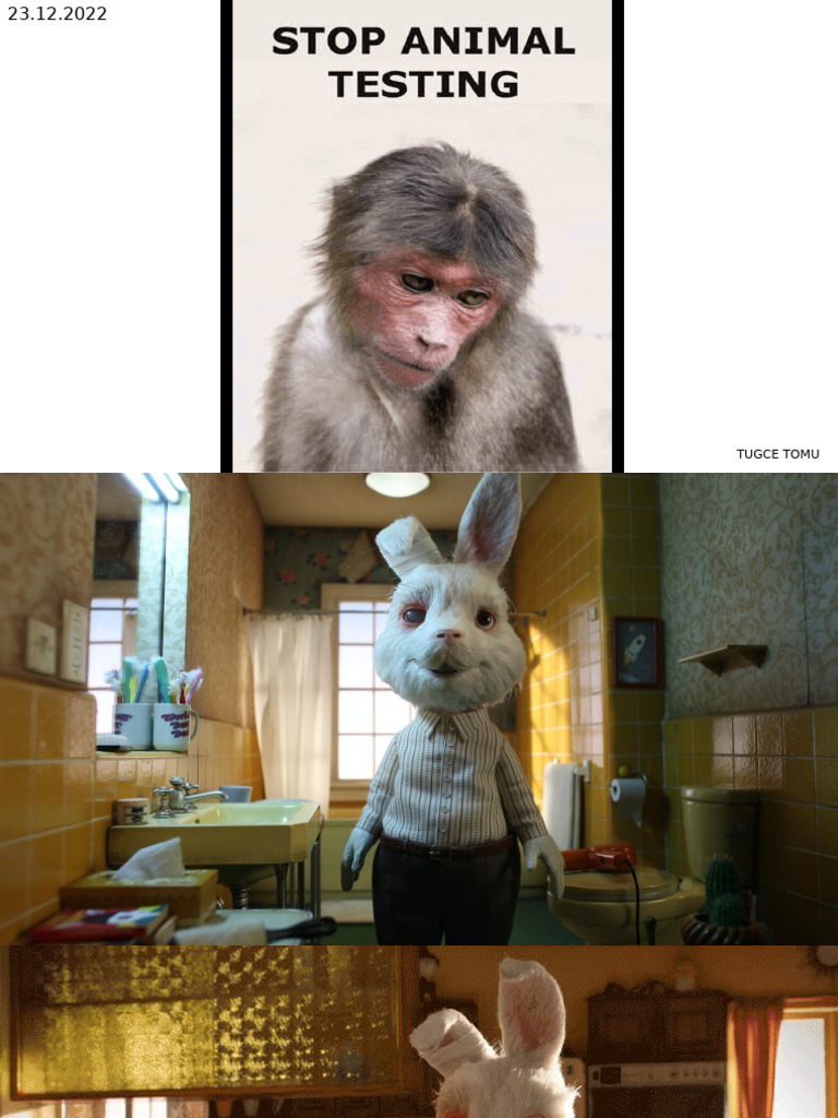 Animal Testing | PDF