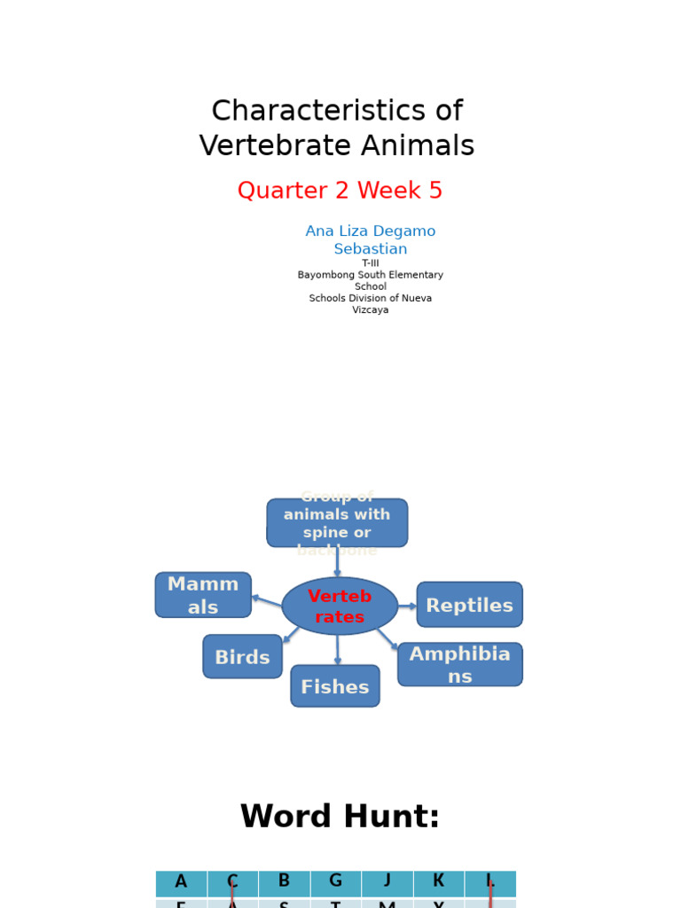 Characteristics of Vertebrate Animals | PDF | Amphibian | Zoology