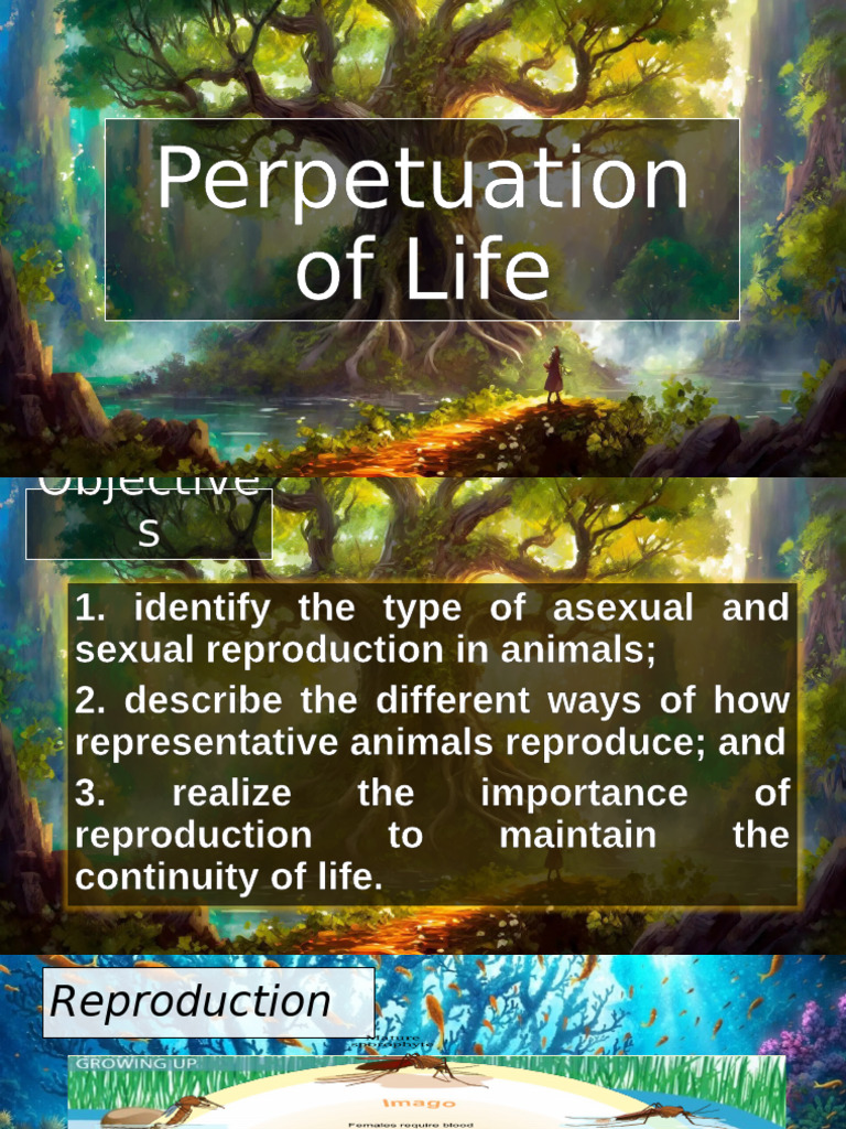 W3 Perpetuation of Life | PDF | Self-Improvement | Wellness