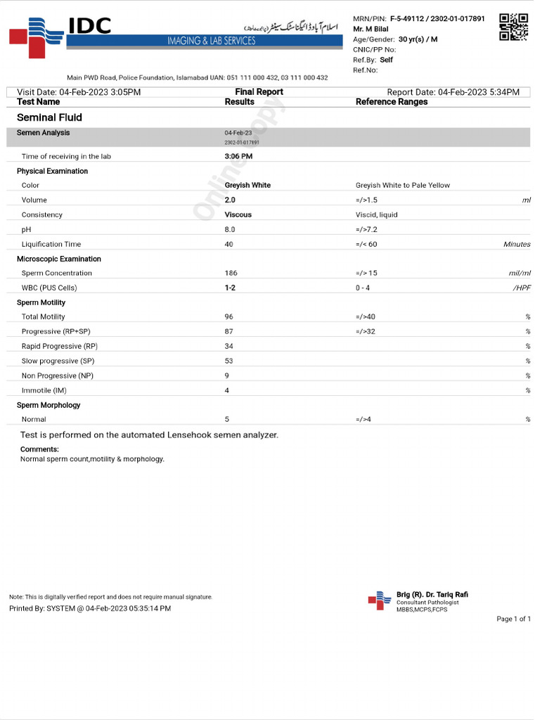 Patient Report PDF | PDF