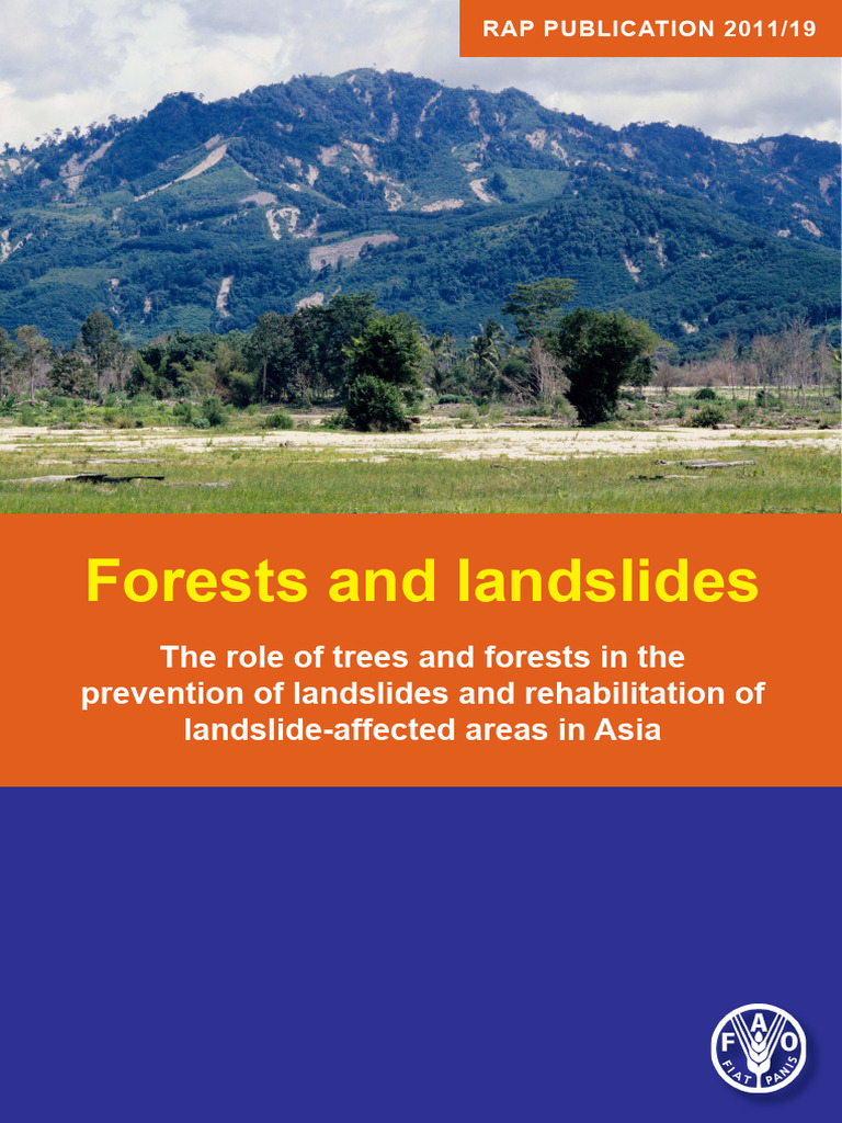 Forests and Landslides | PDF | Landslide | Rain