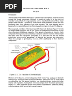 Understanding Skin Normal Flora | PDF | Staphylococcus | Streptococcus