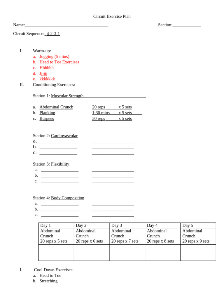 Circuit Exercise Plan | PDF