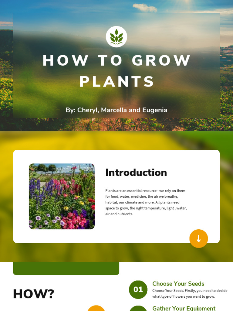 How to Grow Plants: A Beginner's Guide | PDF | Science & Mathematics