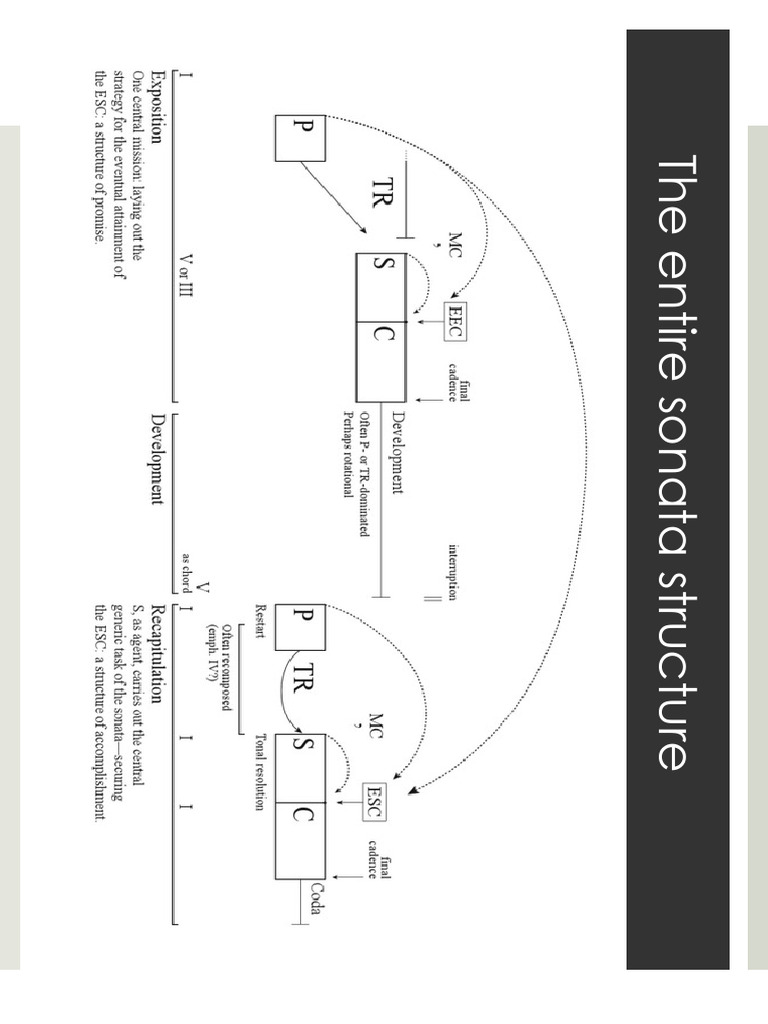 MUT 2201 Entire Sonata Form Structure | PDF