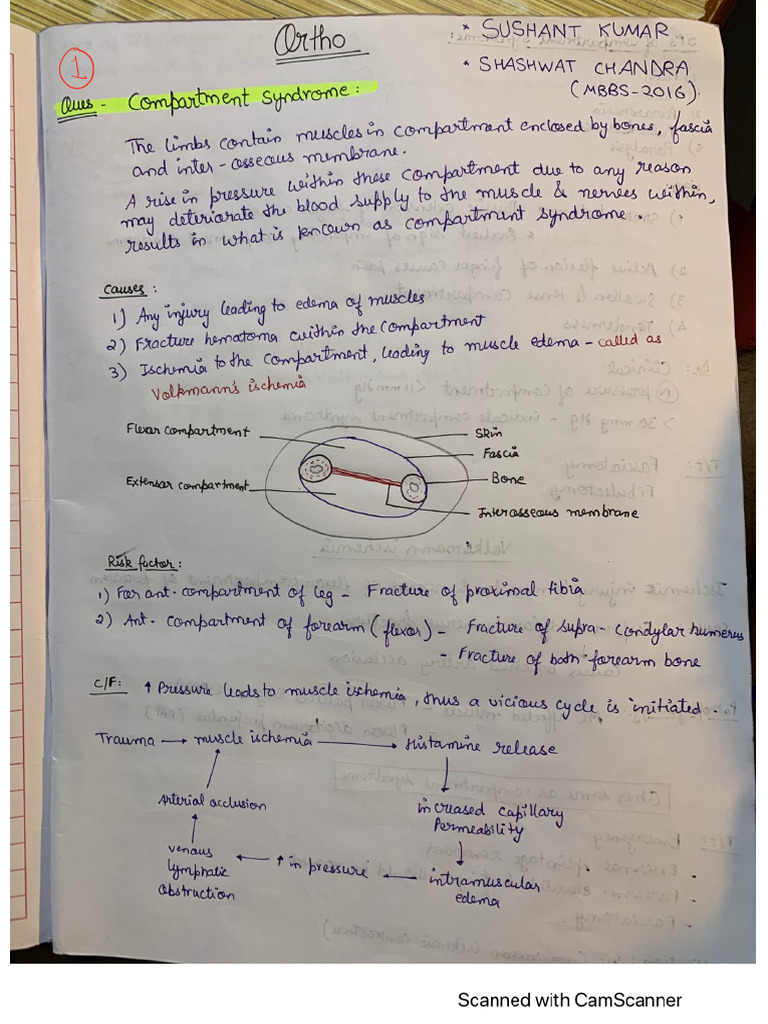Ortho (Modified) Proff Important Question 2 | PDF