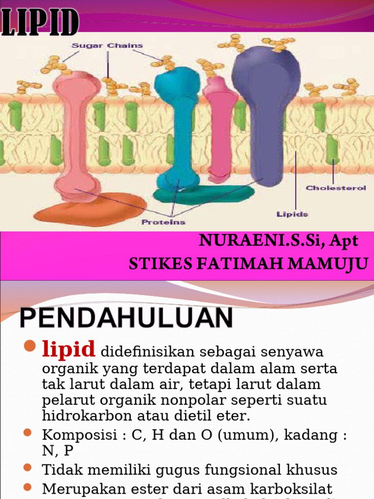 Biokimia Lipid | PDF | Memasak, Makanan, & Anggur | Teknologi & Rekayasa